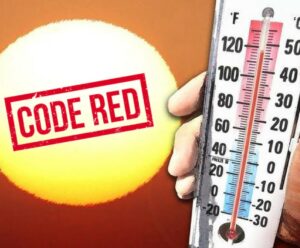 CODE RED - BronxWorks